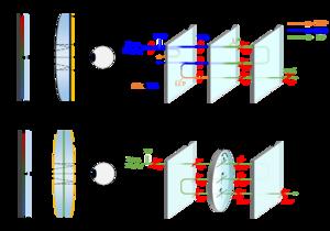 Revolutionizing next-generation VR and MR dis | EurekAlert!