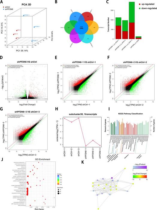 Screening results and visualis [IMAGE] | EurekAlert! Science News Releases