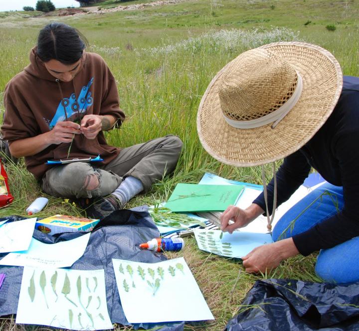 Leaf Samples [IMAGE] | EurekAlert! Science News Releases