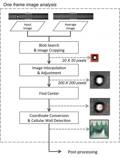 Stages of the Algoritm [IMAGE] | EurekAlert! Science News Releases
