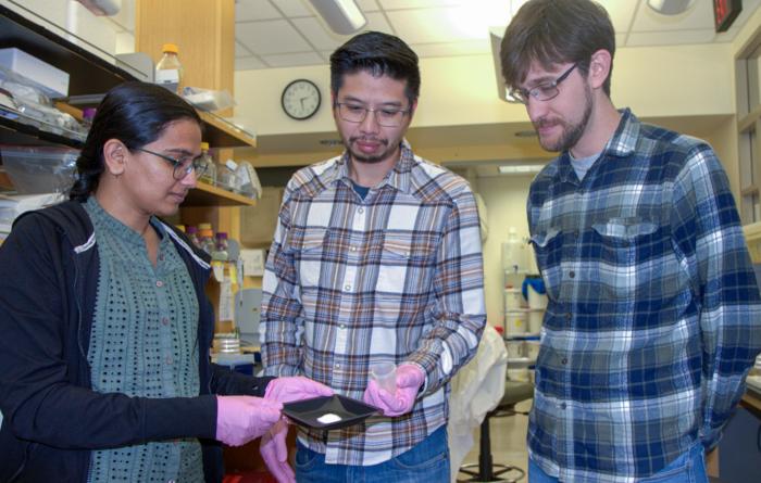 Bryan Hsu [IMAGE] | EurekAlert! Science News Releases