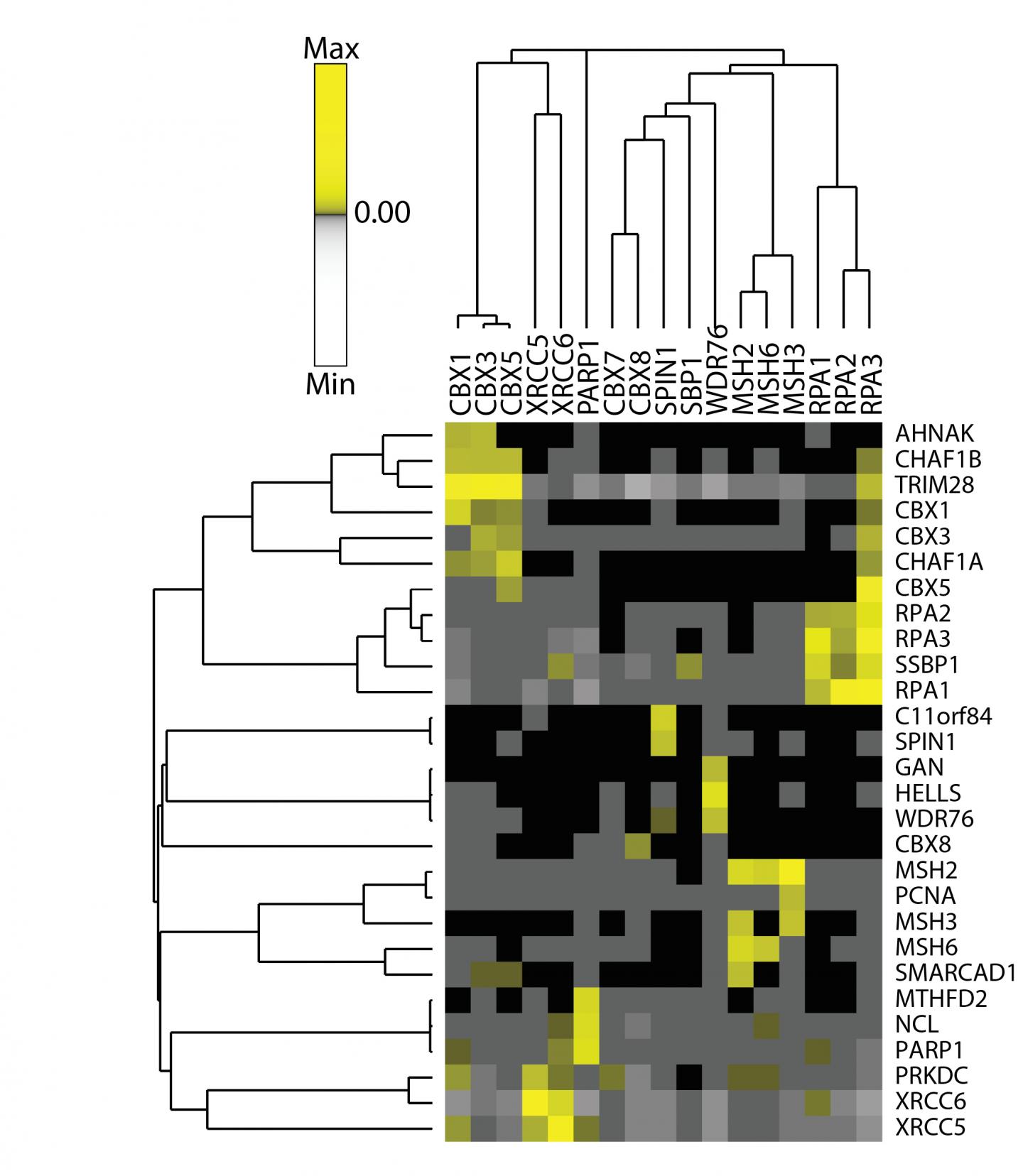 Cluster Map [IMAGE] | EurekAlert! Science News Releases