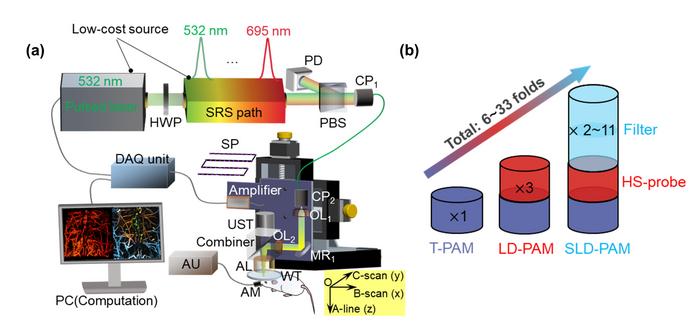 SLD-PAM system and sensitivity [IMAGE] | EurekAlert! Science News Releases