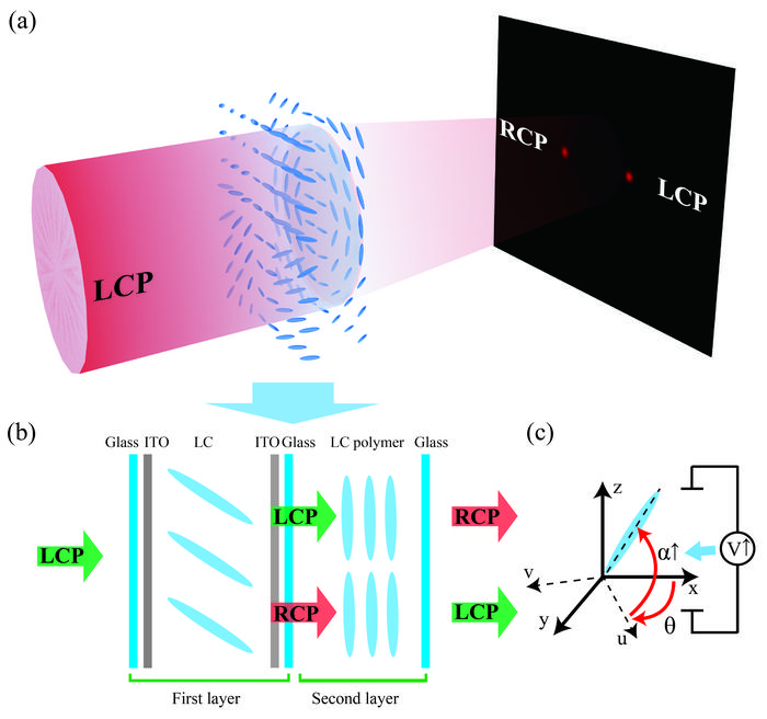 Schematic diagram of bifocal l [IMAGE] | EurekAlert! Science News Releases