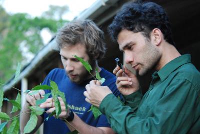 Robert Bagchi and Tom Swinfiel [IMAGE] | EurekAlert! Science News Releases