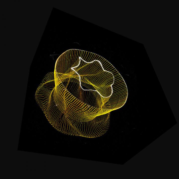 Helicity Simulation [IMAGE] | EurekAlert! Science News Releases