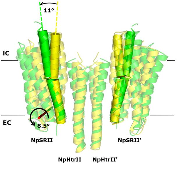 SRII [IMAGE] | EurekAlert! Science News Releases