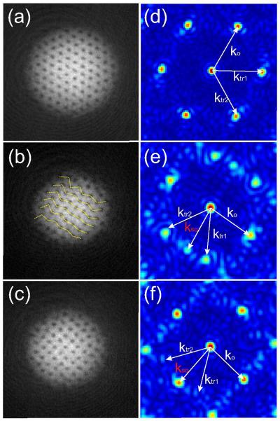 'Vortex lattices' may help explain material d | EurekAlert!
