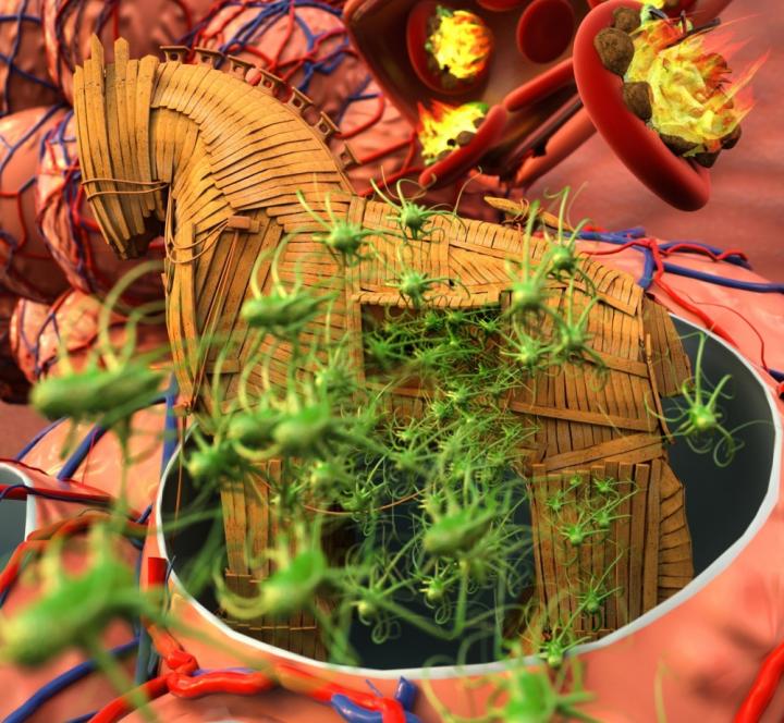 Bacteria Switch [IMAGE] | EurekAlert! Science News Releases