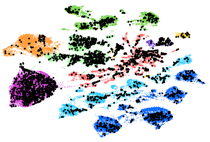 Cell map [IMAGE] | EurekAlert! Science News Releases