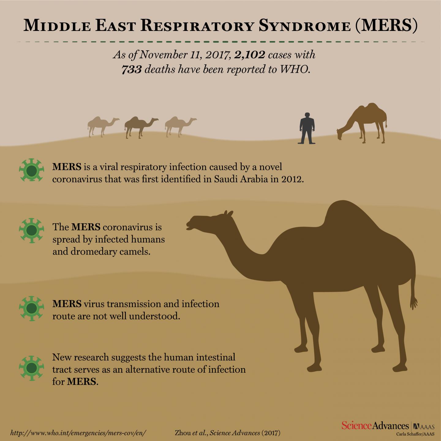 MERS Virus May Also Infect Hum [IMAGE] | EurekAlert! Science News Releases