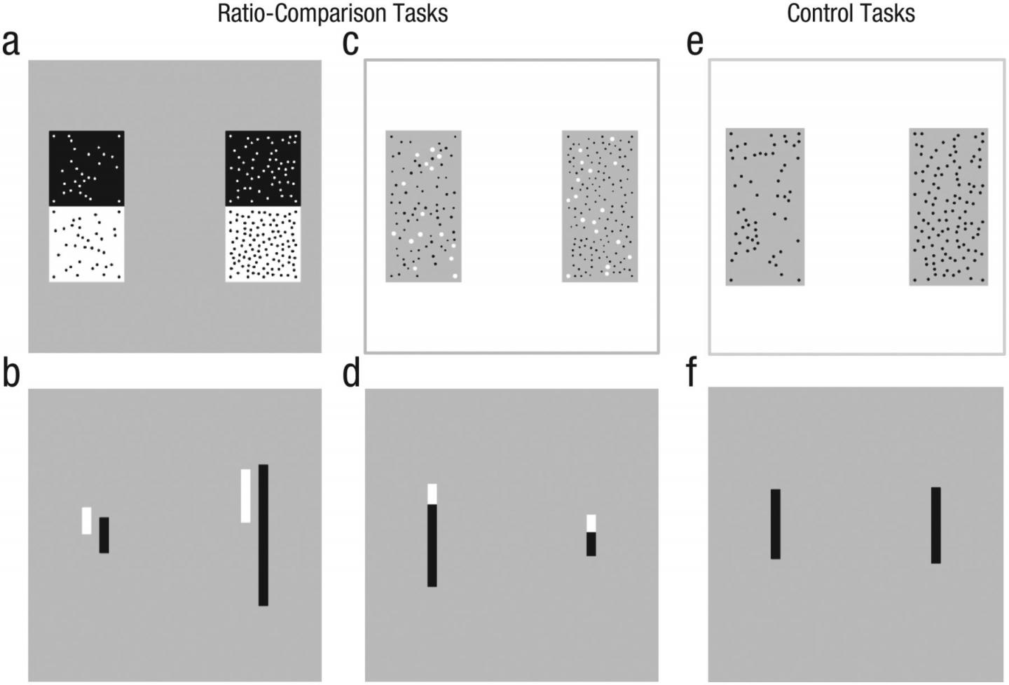 Sample Dot and Line Pairs [IMAGE] | EurekAlert! Science News Releases