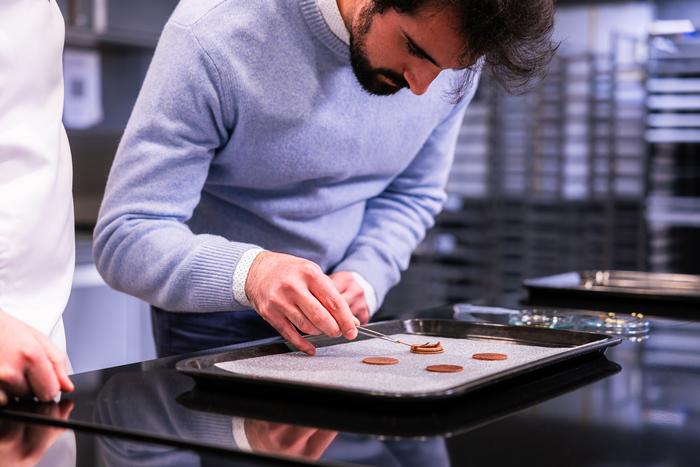 The edible dark chocolate batt [IMAGE] | EurekAlert! Science News Releases