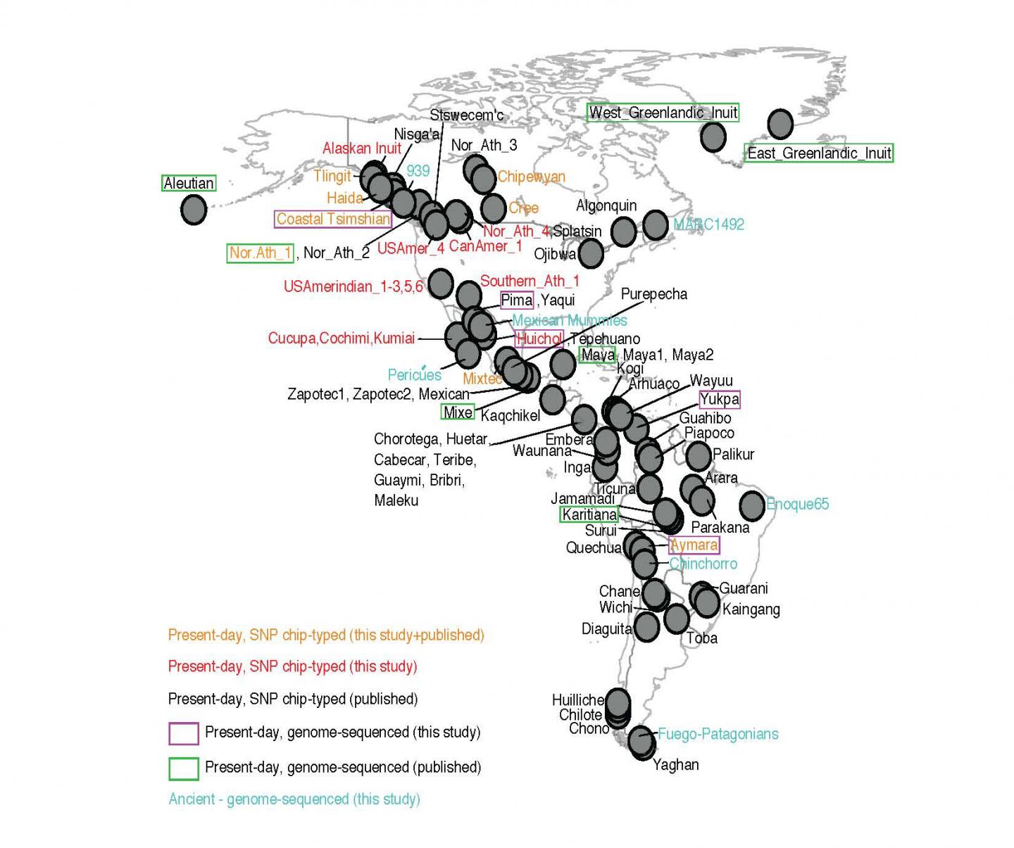 Genetic Data Informs How Native American Ance | EurekAlert!