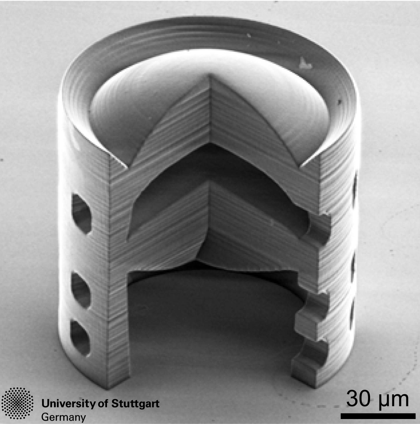3-D Printed 'Eagle Eye' Camera Mimics Sharp V | EurekAlert!