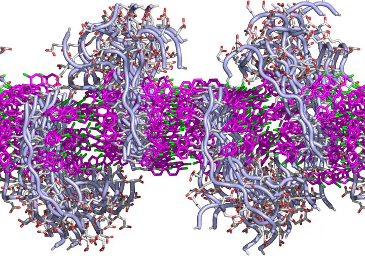 Lipid-Like Peptoid Membrane [IMAGE] | EurekAlert! Science News Releases