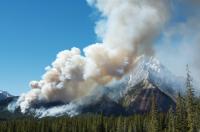 Rapid rise in wildfires in large parts of Can | EurekAlert!