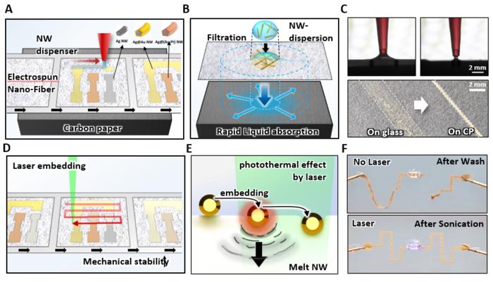 Figure 1: Micro-patterning Pro [IMAGE] | EurekAlert! Science News Releases