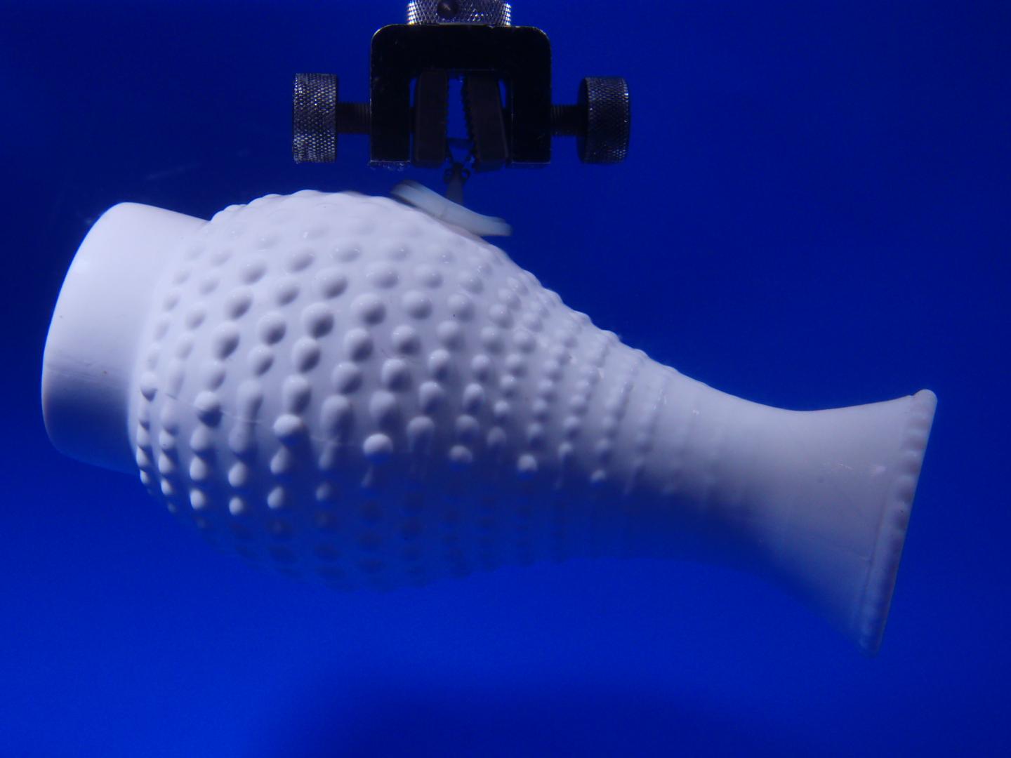 Suction Cup and Bumpy Vase [IMAGE] | EurekAlert! Science News Releases