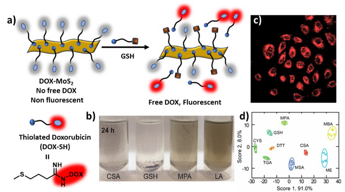 MoS2 Nanosheets [IMAGE] | EurekAlert! Science News Releases