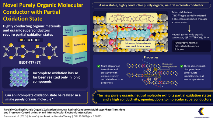 Towards highly conducting molecular materials | EurekAlert!