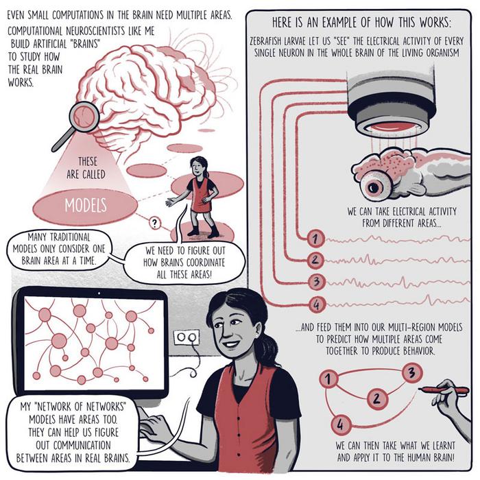 Neuroscience comic 2 [IMAGE] | EurekAlert! Science News Releases