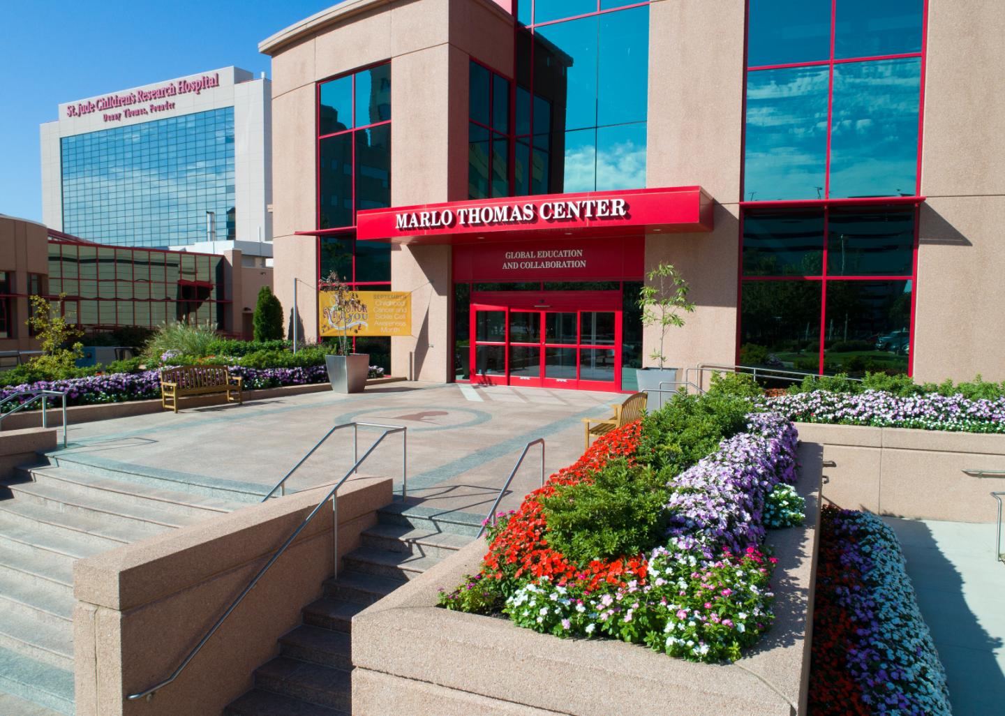 WHO Collaborating Centre for C [IMAGE] | EurekAlert! Science News Releases