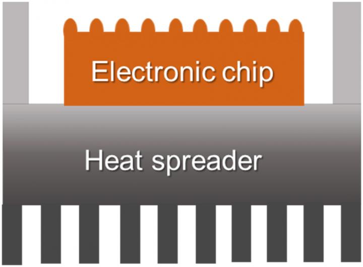 Schematic for microchip packag [IMAGE] | EurekAlert! Science News Releases