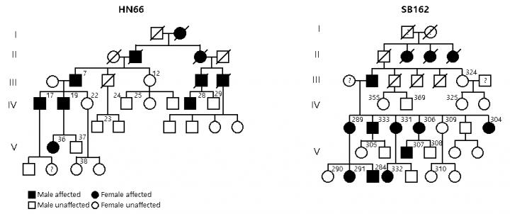 Figure 1 [IMAGE] | EurekAlert! Science News Releases