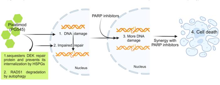 Figure 1 [IMAGE] | EurekAlert! Science News Releases