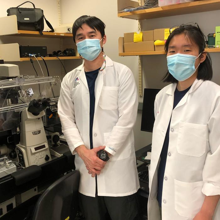 Coronavirus envelope protein is a drug target | EurekAlert!