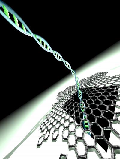 Graphene Nanopore (2 of 2) [IMAGE] | EurekAlert! Science News Releases