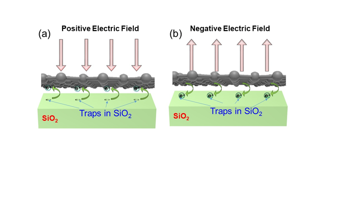 Figure 1: Schematic diagram sh [IMAGE] | EurekAlert! Science News Releases