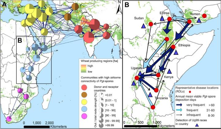 Network Map of the Atmospheric [IMAGE] | EurekAlert! Science News Releases