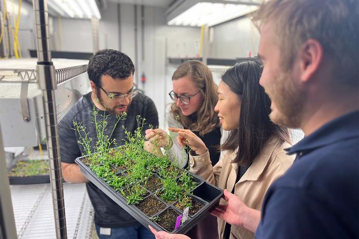 Keith Slotkin, PhD, in the lab [IMAGE] | EurekAlert! Science News Releases