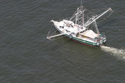 Shrimp Trawler [IMAGE] | EurekAlert! Science News Releases