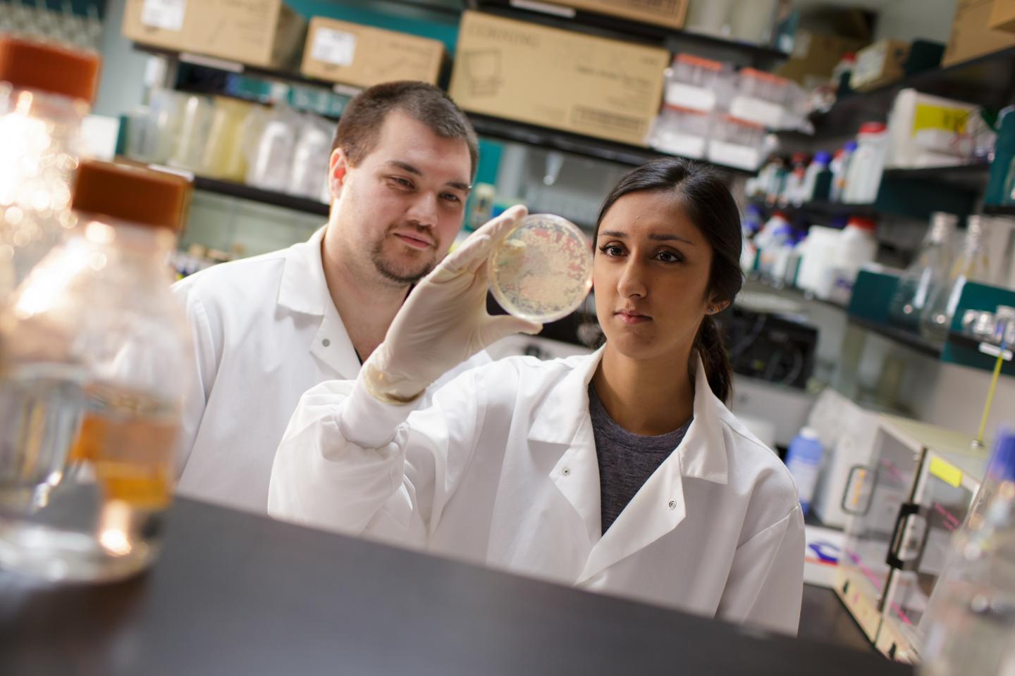 Deep-sea bacteria could help neutralize green | EurekAlert!