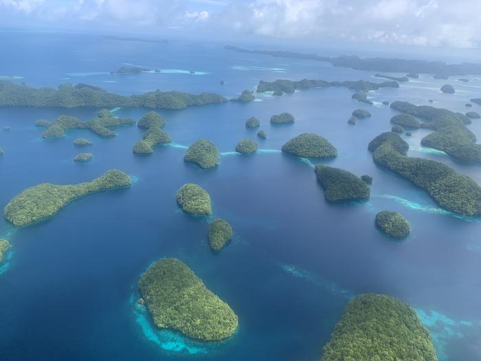 Palau National Marine Sanctuar [IMAGE] | EurekAlert! Science News Releases