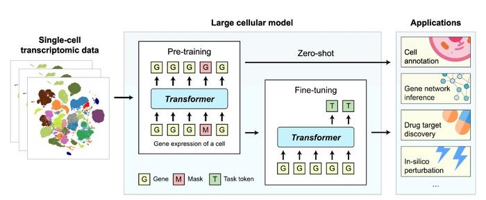 Figure 1 [IMAGE] | EurekAlert! Science News Releases