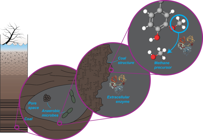 methane from coal caroon [IMAGE] | EurekAlert! Science News Releases