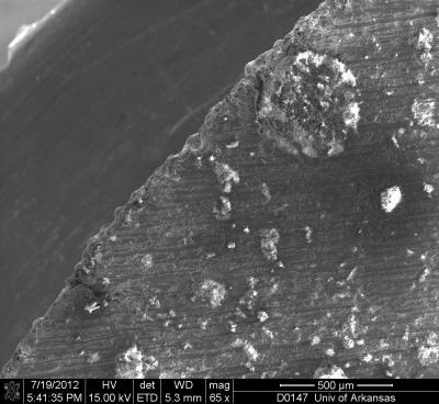New Space Rock Is Rare Type of Meteorite (4 o | EurekAlert!
