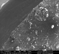 New Space Rock Is Rare Type of Meteorite (4 o | EurekAlert!