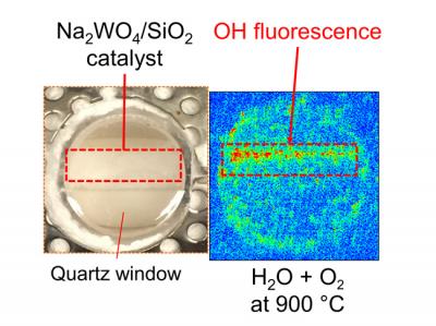 A Radical Solution Comes from [IMAGE] | EurekAlert! Science News Releases