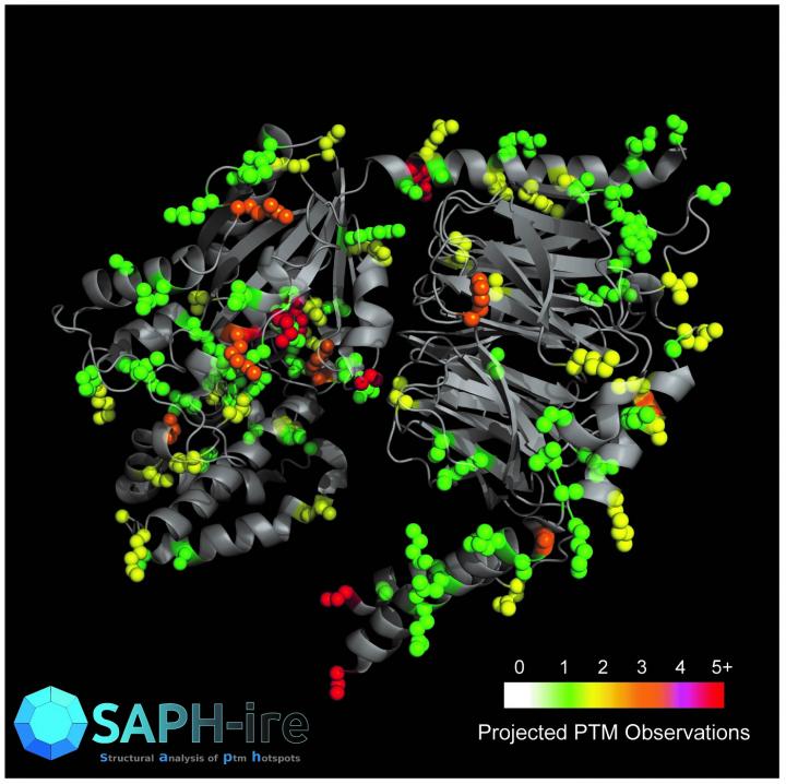 SAPH-ire helps scientists prioritize protein | EurekAlert!