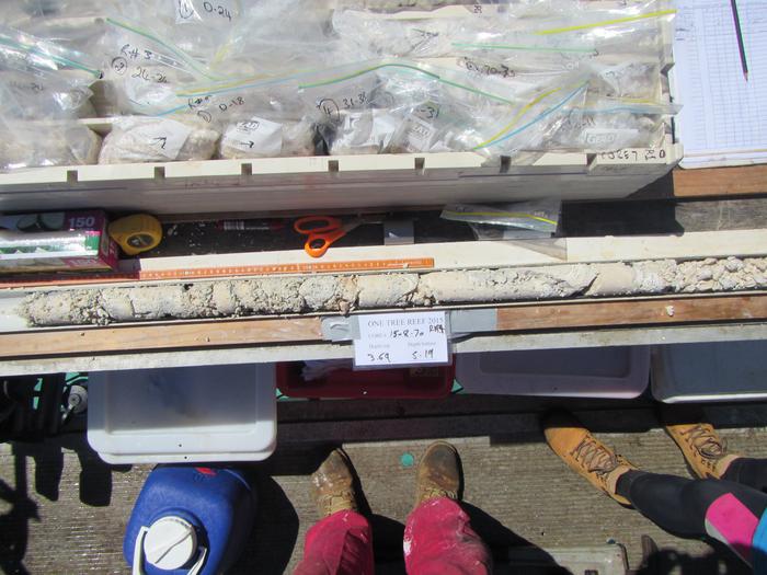 Fossilised reef core [IMAGE] | EurekAlert! Science News Releases