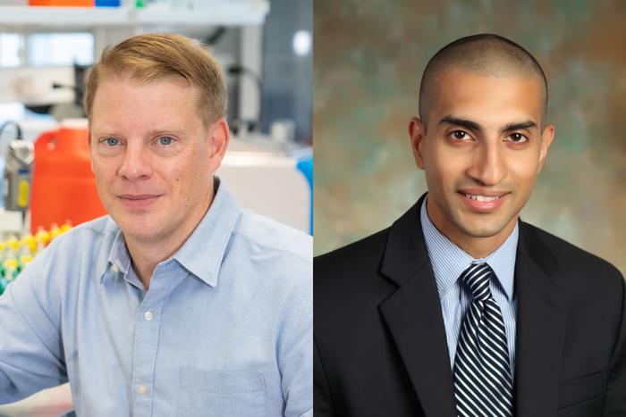 Cardiovascular research [IMAGE] | EurekAlert! Science News Releases