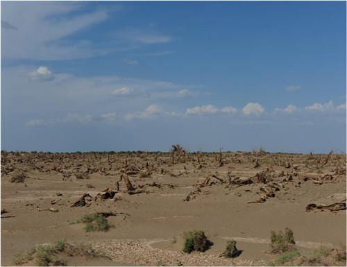 Anthropogenic groundwater extraction impacts | EurekAlert!