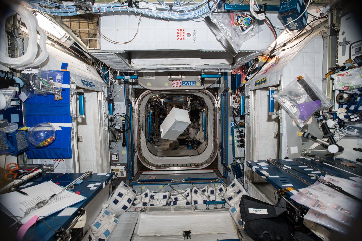 Space Tango CubeLab [IMAGE] | EurekAlert! Science News Releases