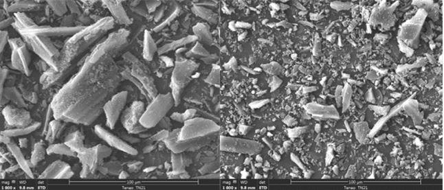 SEM Photo [IMAGE] | EurekAlert! Science News Releases