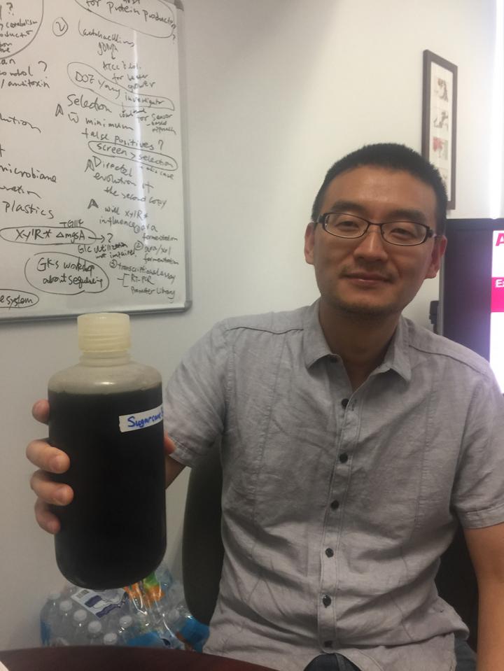 Sweet Solution [IMAGE] | EurekAlert! Science News Releases